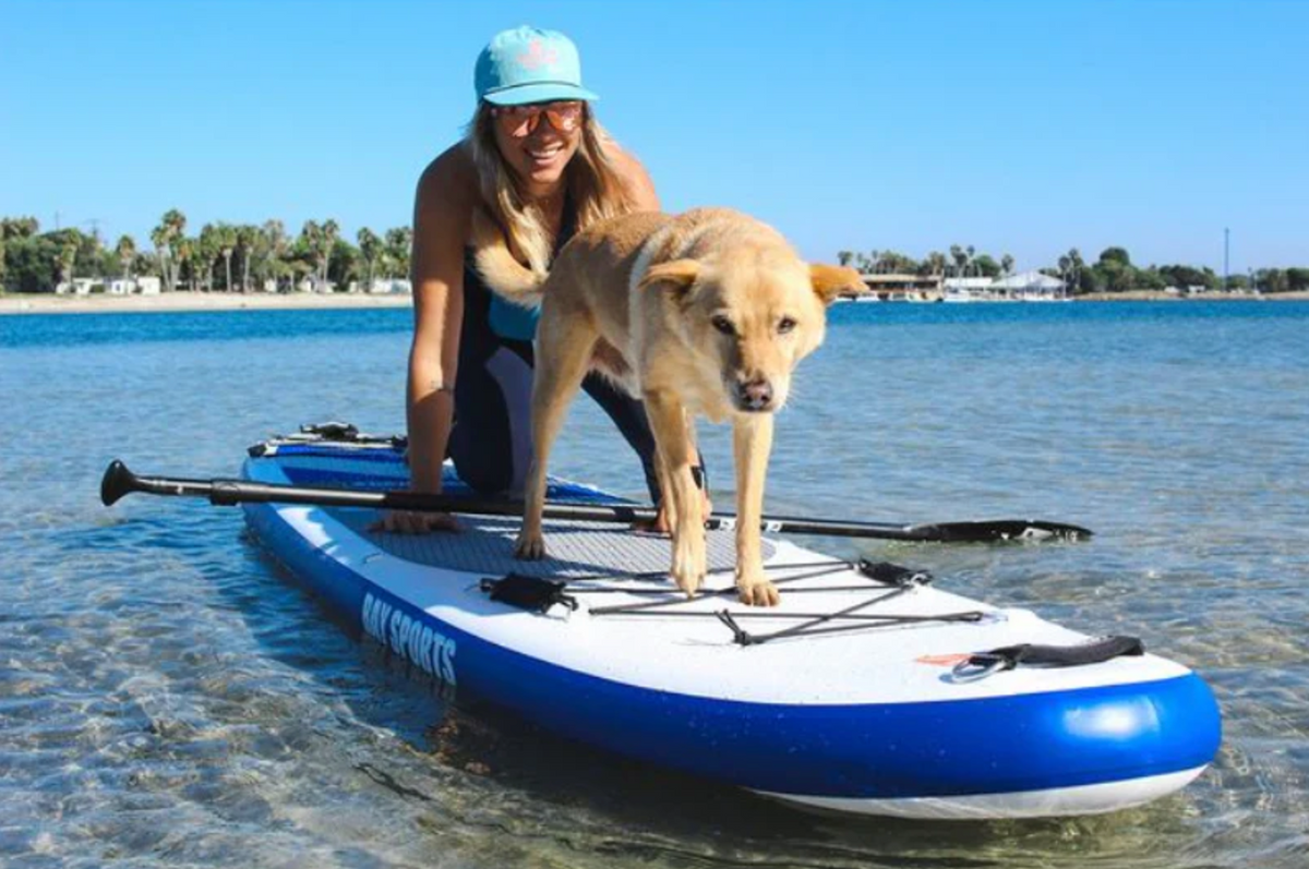 Paddle Boarding with Pets – A Fun and Safe Adventure – Bay Sports
