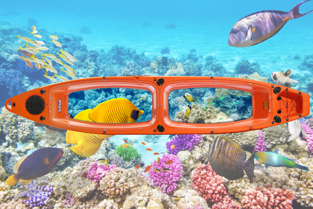 Clear Bottom Sea Through Kayaks for Sale in Australia | Bay Sports